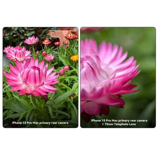 75mm Macro Lens · Pro II series – Fotorgear