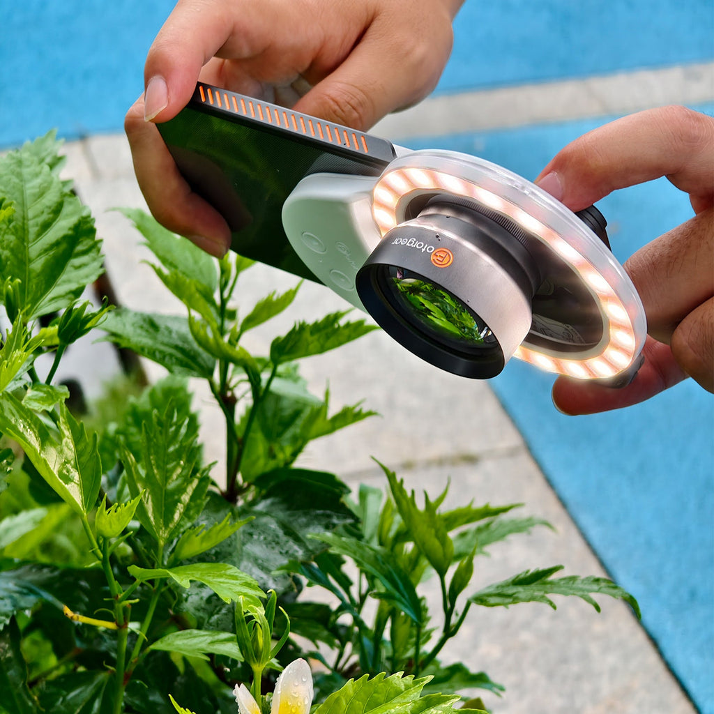 Explore the micro world bundle – Fotorgear